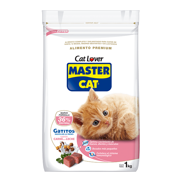 MASTER CAT GATITOS 1 KG – Petzone